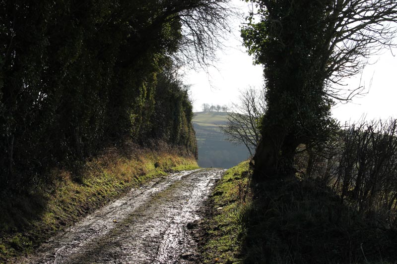 Childhood recollection of Kelston Roundhill | Kelston Roundhill and ...
